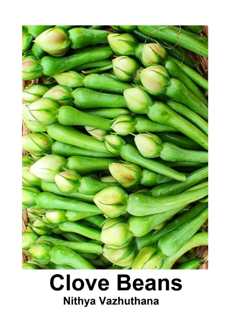Anugrahas Seeds World | Buy Vegetable and Fruit Seeds Online in Trivandrum